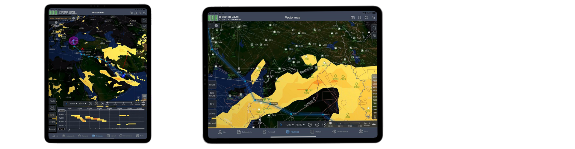 Digital Flight Charts