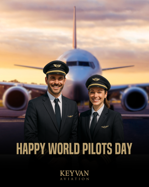 Celebrating World Pilots' Day : Honouring the Heroes Who Navigate Our ...